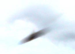 Strange Object in photograph taken by Alex Stanbridge in Scotland.